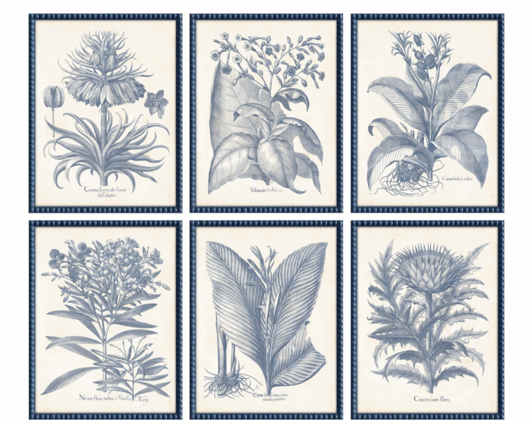 Set of 6 Framed Indigo Thistles Prints - Nordic Style London